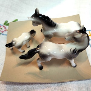 Miniature Japan Bone China Horse Family - Etsy