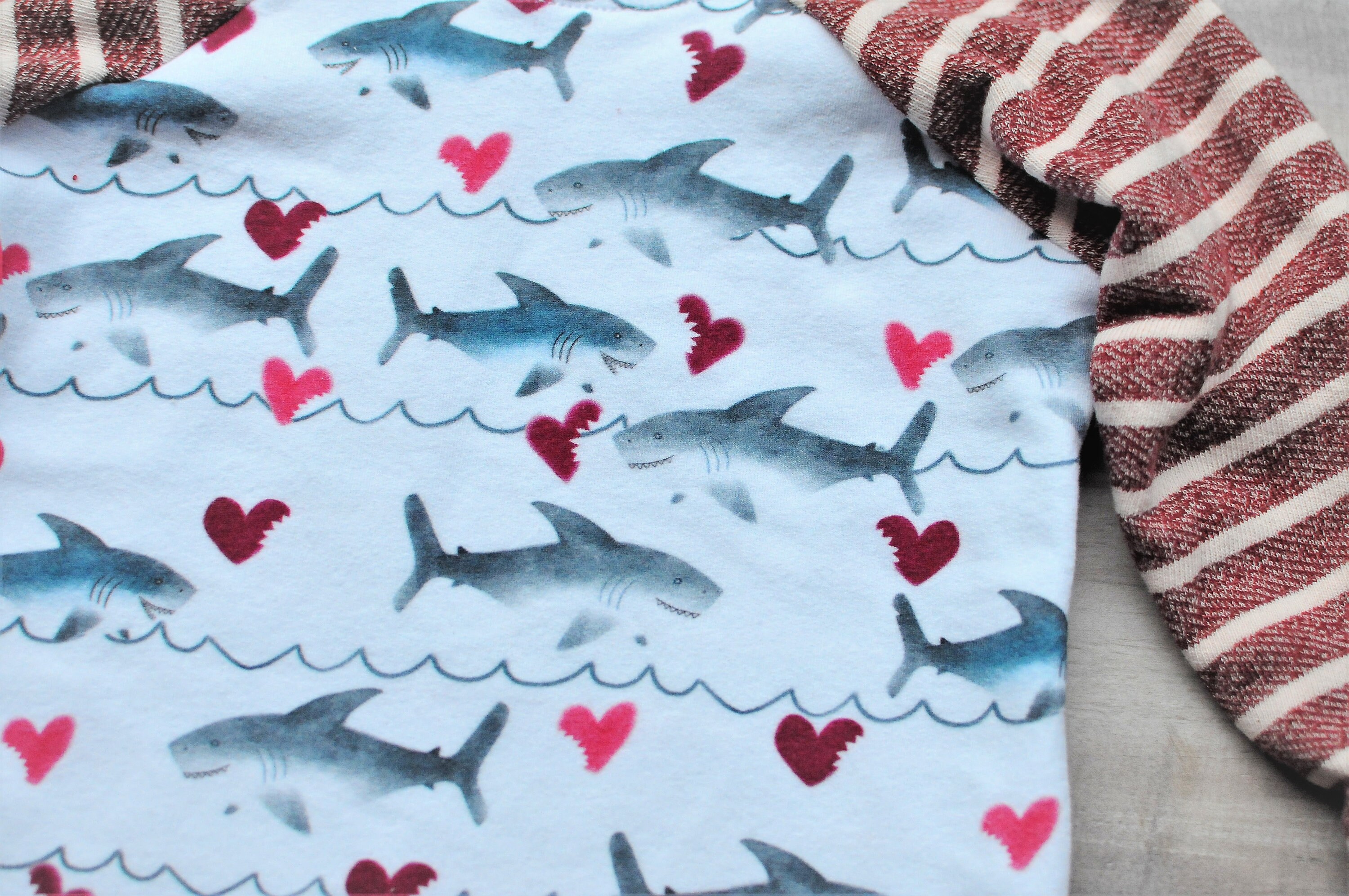 Shark Pullover Shark Tee Shark Boy Clothing Shark Sweater - Etsy