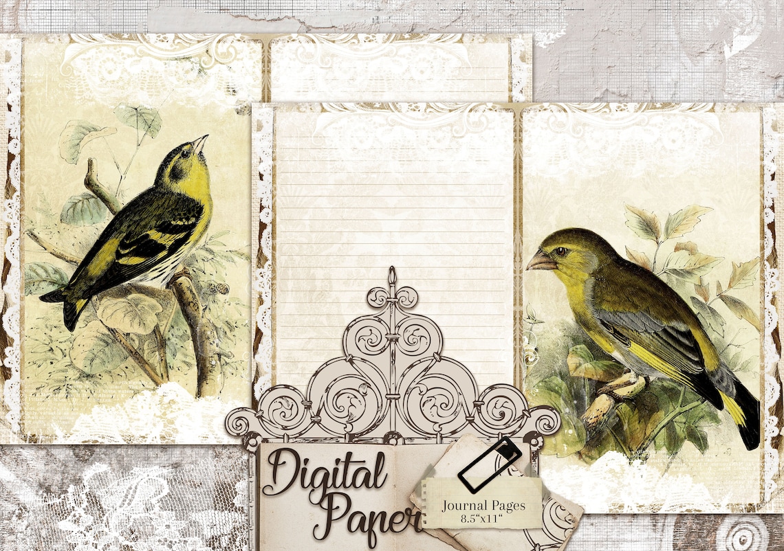 Printable Birds Journal, Birds Notebook, Digital Paper, Vintage Birds ...