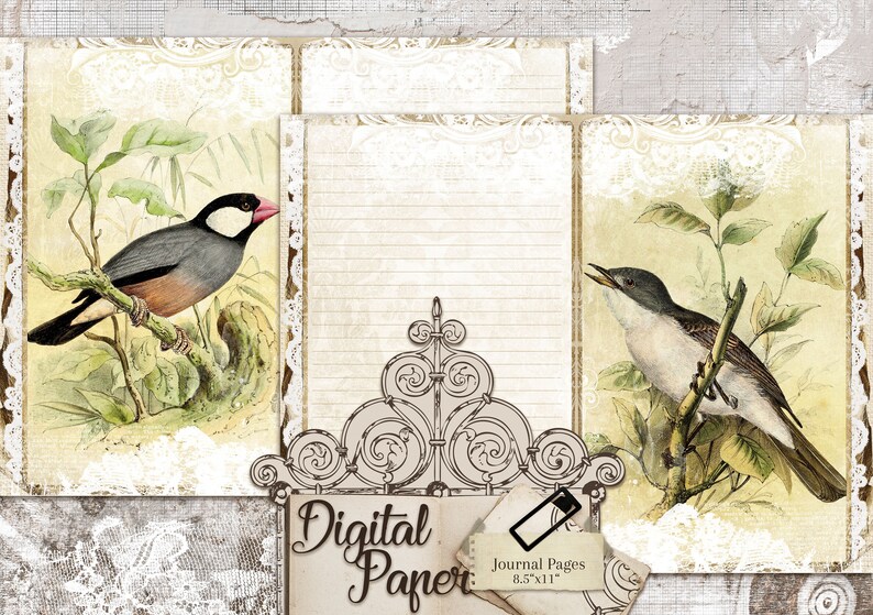 Printable Birds Journal, Birds Notebook, Digital Paper, Vintage Birds ...