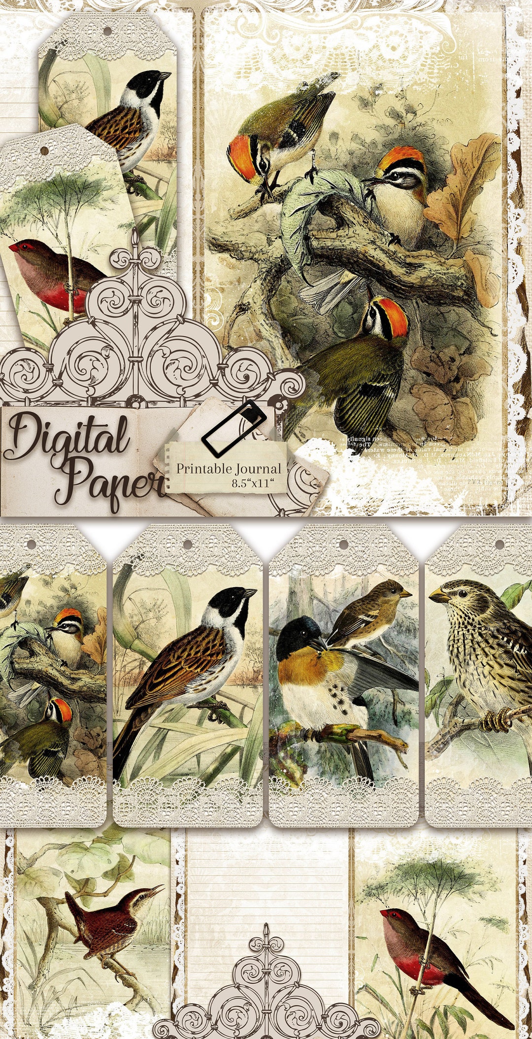 Birds Notebook, Digital Paper, Printable Birds Journal, Vintage Birds ...