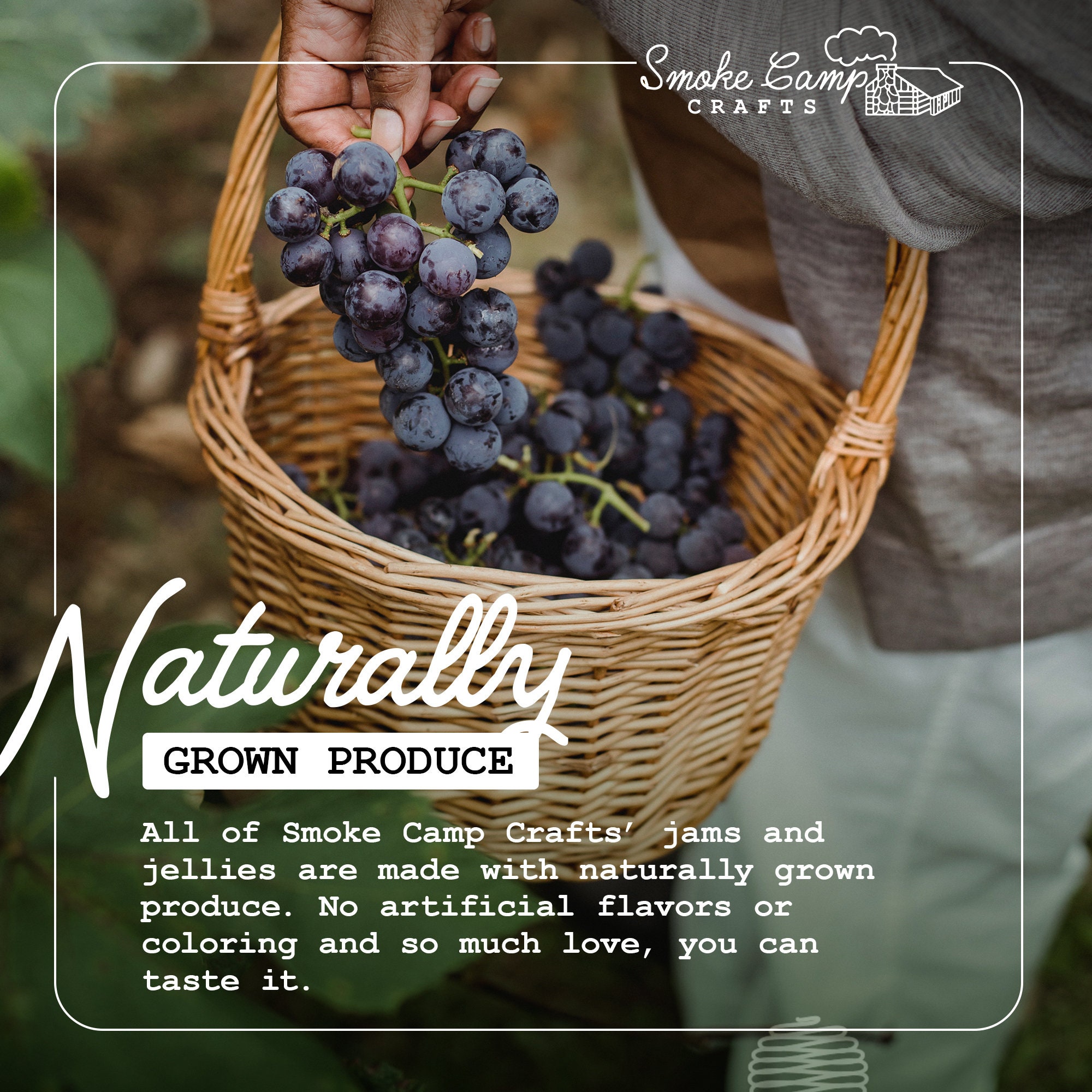 Artisan Jams & Jellies Assorted 12-pack - Etsy