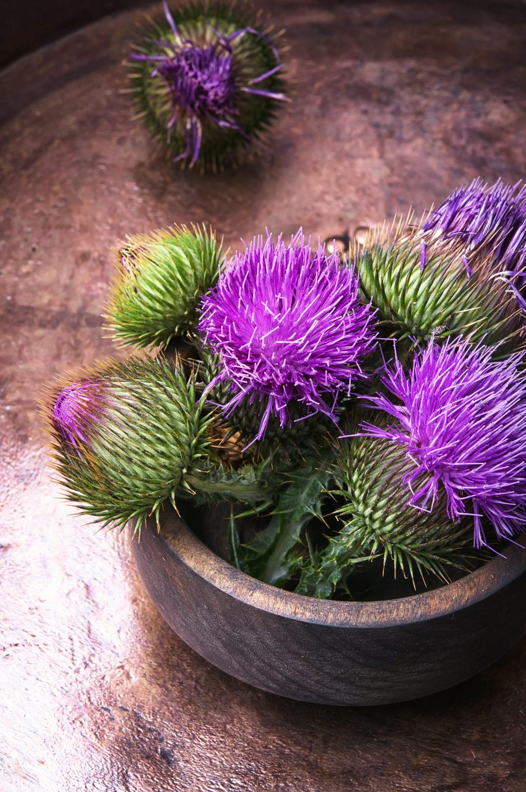 Organic Milk Thistle Seeds (silybum Marianum) 50 Seeds (2 Grams ...