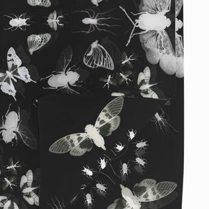 Butterflies Silk Scarf, Insect Scarf, Nature Scarves, Hair Scarves ...