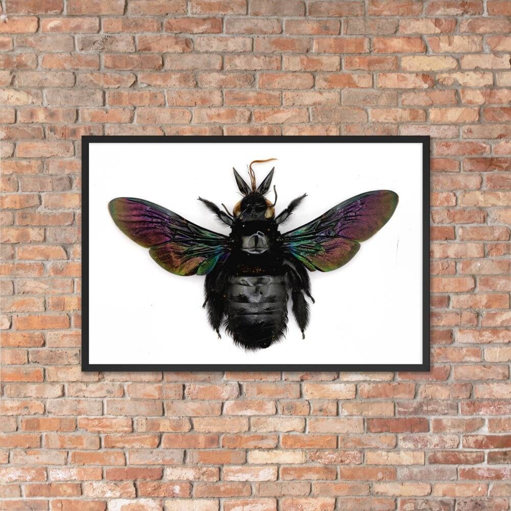 Carpenter Bee Boho Art Print Gothic Home Decor Nature - Etsy