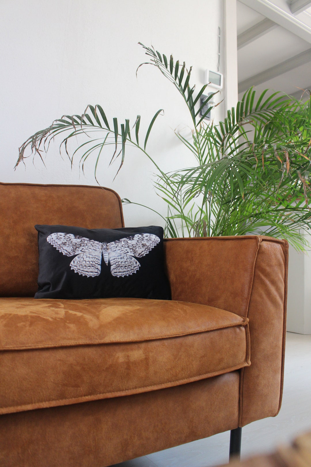 White Witch Moth Cushion, Cottagecore Moth Throw Pillow, Home Decor ...