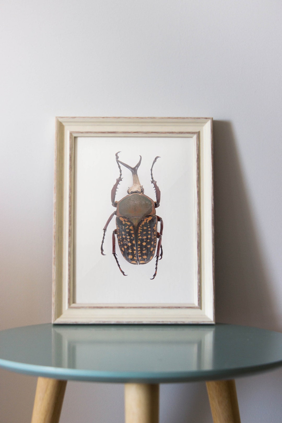 Insect Print, Kids Room Decor, Nursery Wall Art, Bug Illustration, Kids ...