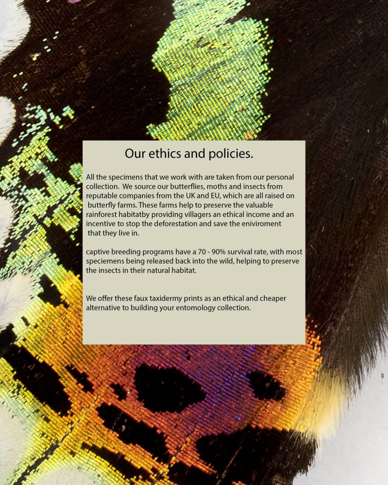 Stick Insect Wall Art Print, Bug Posters, Insect Decor, Entomology ...