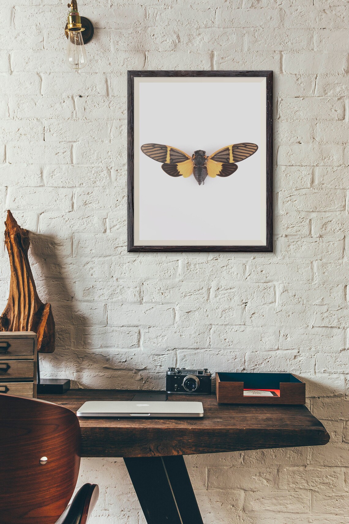 Cicada Insect Art Modern Cicada Poster. Entomology Insect - Etsy