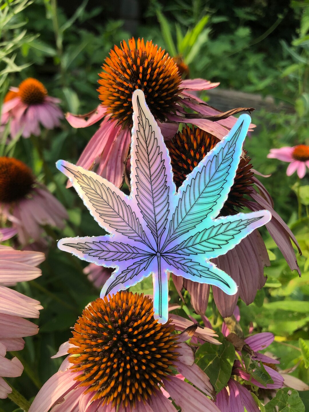 Holographic Cannabis Leaf Sticker - Etsy