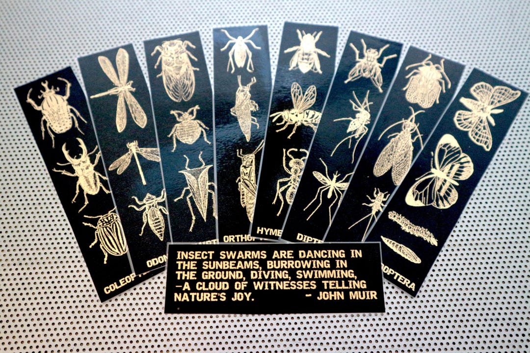 Insects Bookmarks Set 9 Handmade Art Book Mark Illustration Science ...