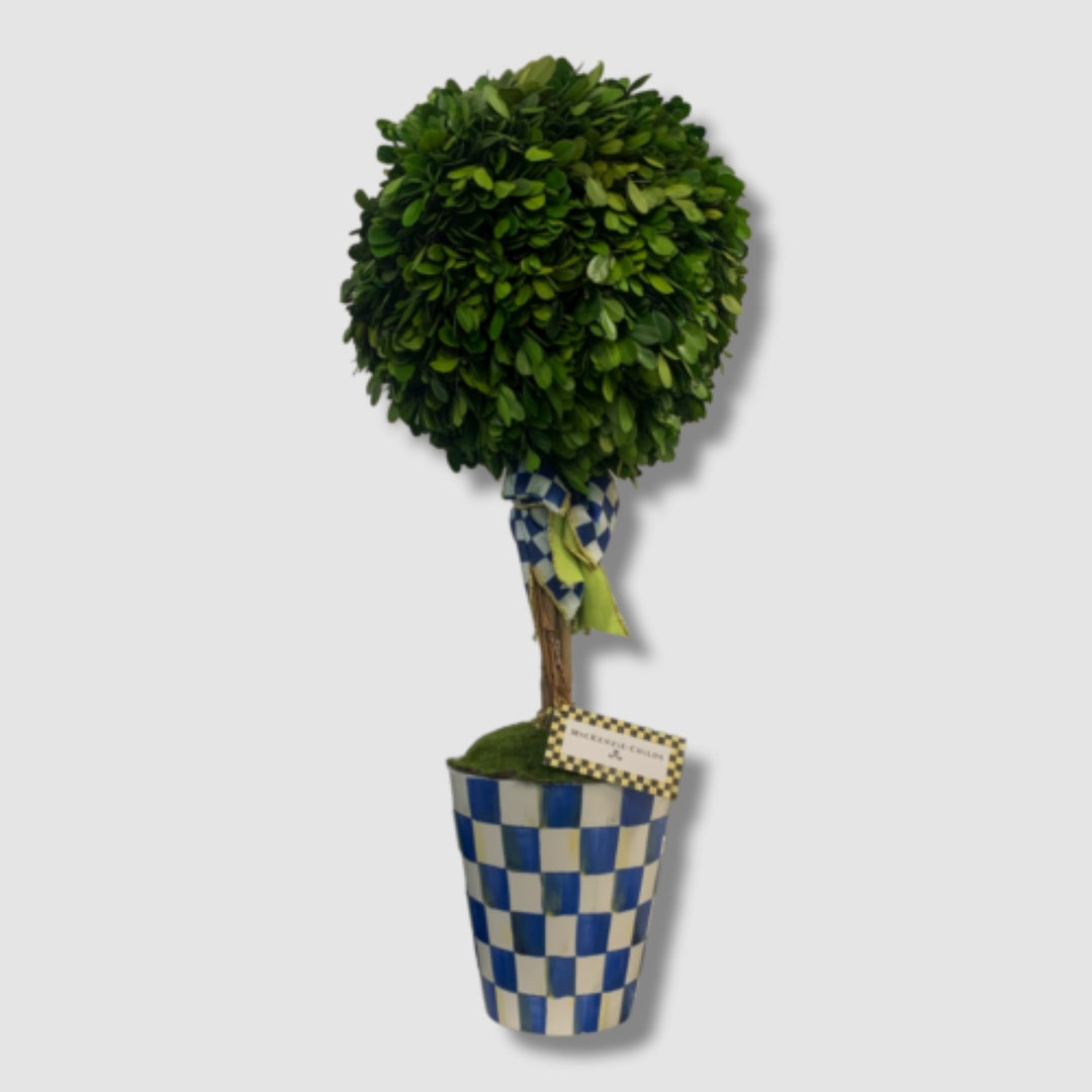 Set of 2 Mackenzie Childs Royal Check Pottery Ceramic Planter Topiary ...