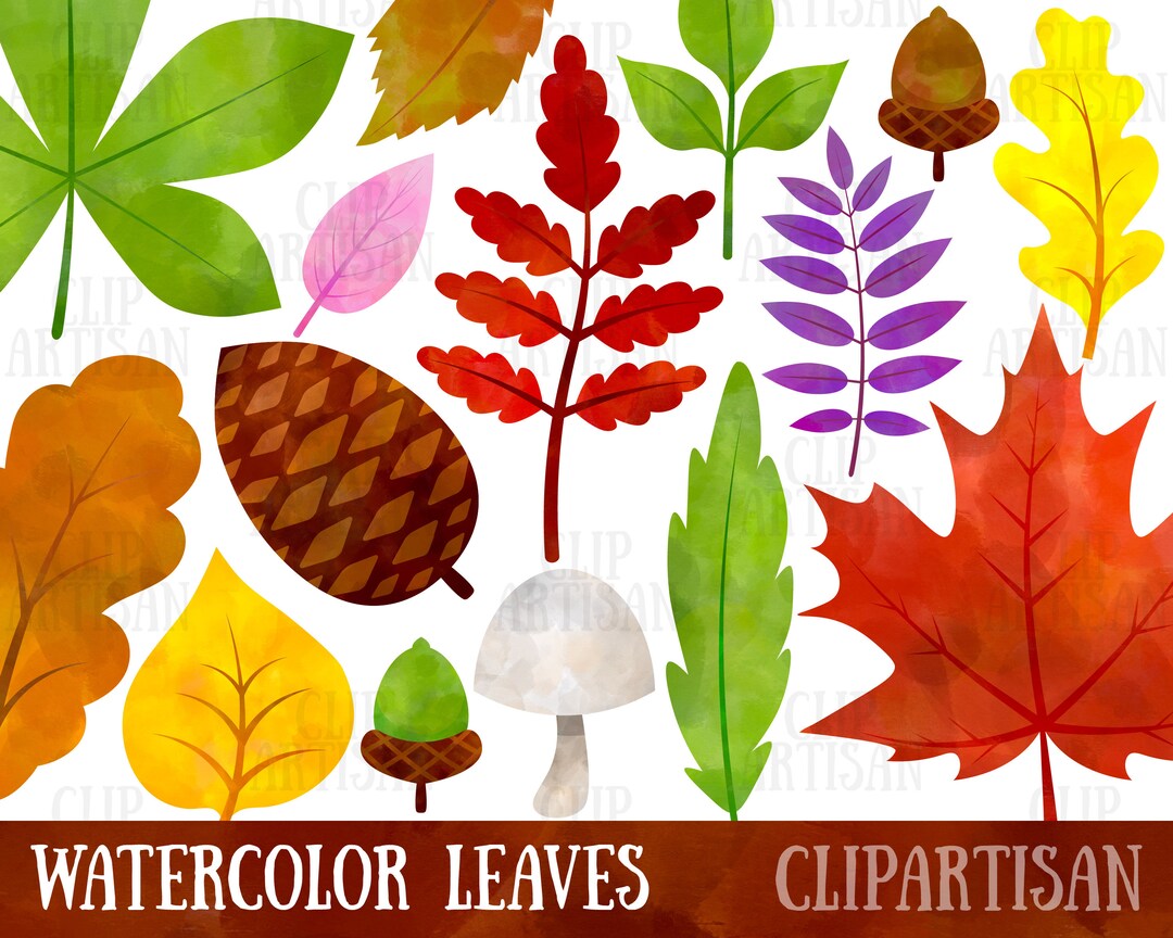 Watercolor Fall Leaves Clipart, Autumn Floral Clip Art - Etsy