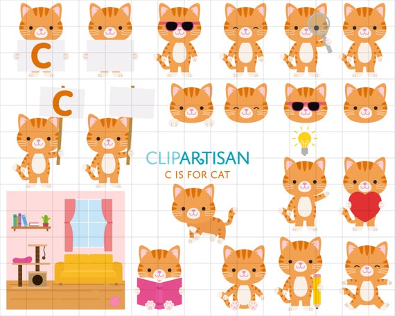 Cute Cat Poses