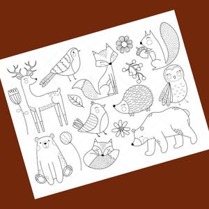 Woodland Animals Clipart Digital Stamps | Black and White Line Art ...