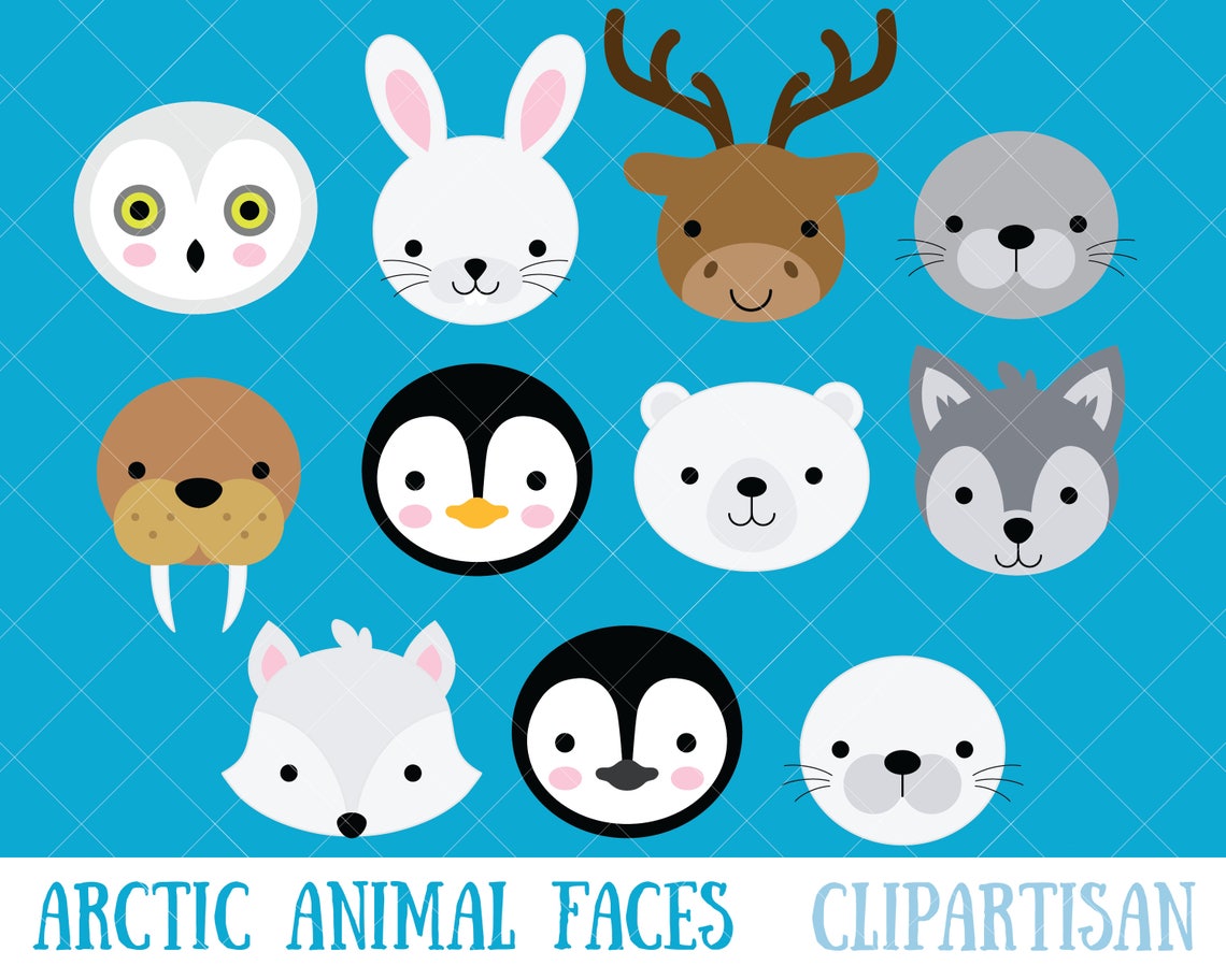 Arctic Animal Faces Clipart Penguin Seal Polar Bear - Etsy