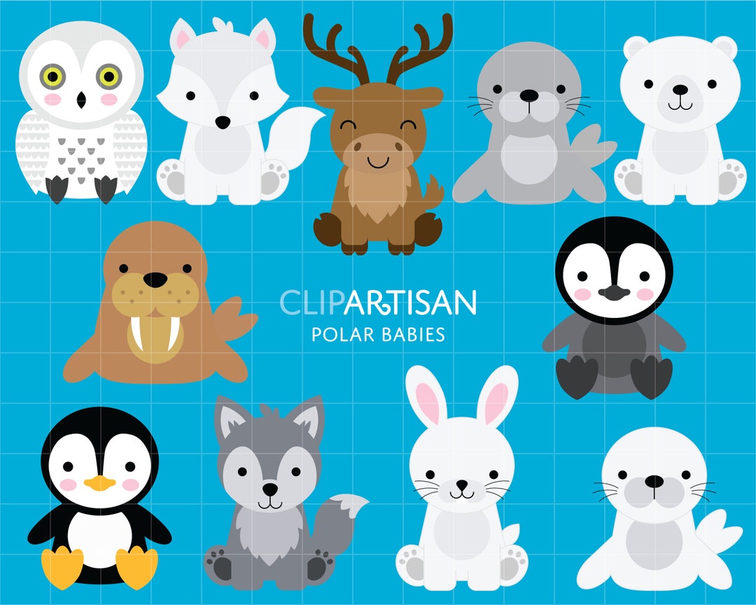 Cute Arctic Animals