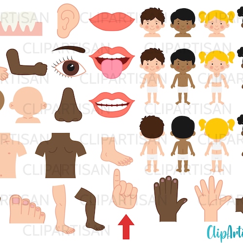 Body Organs Clipart Digital Clip Art Human Body PNG SVG - Etsy Israel