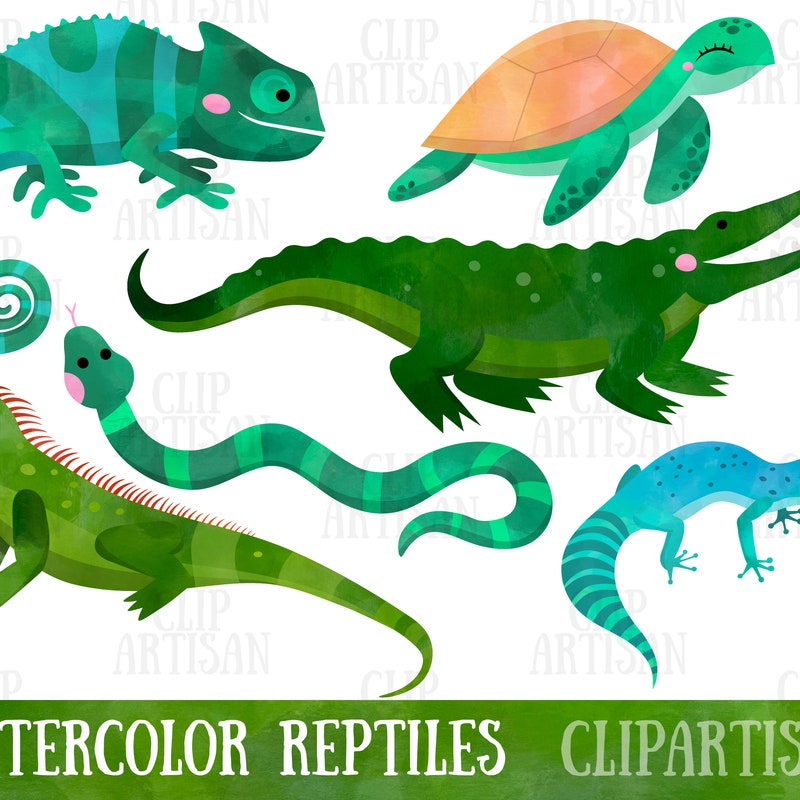 Reptile Clipart - Etsy