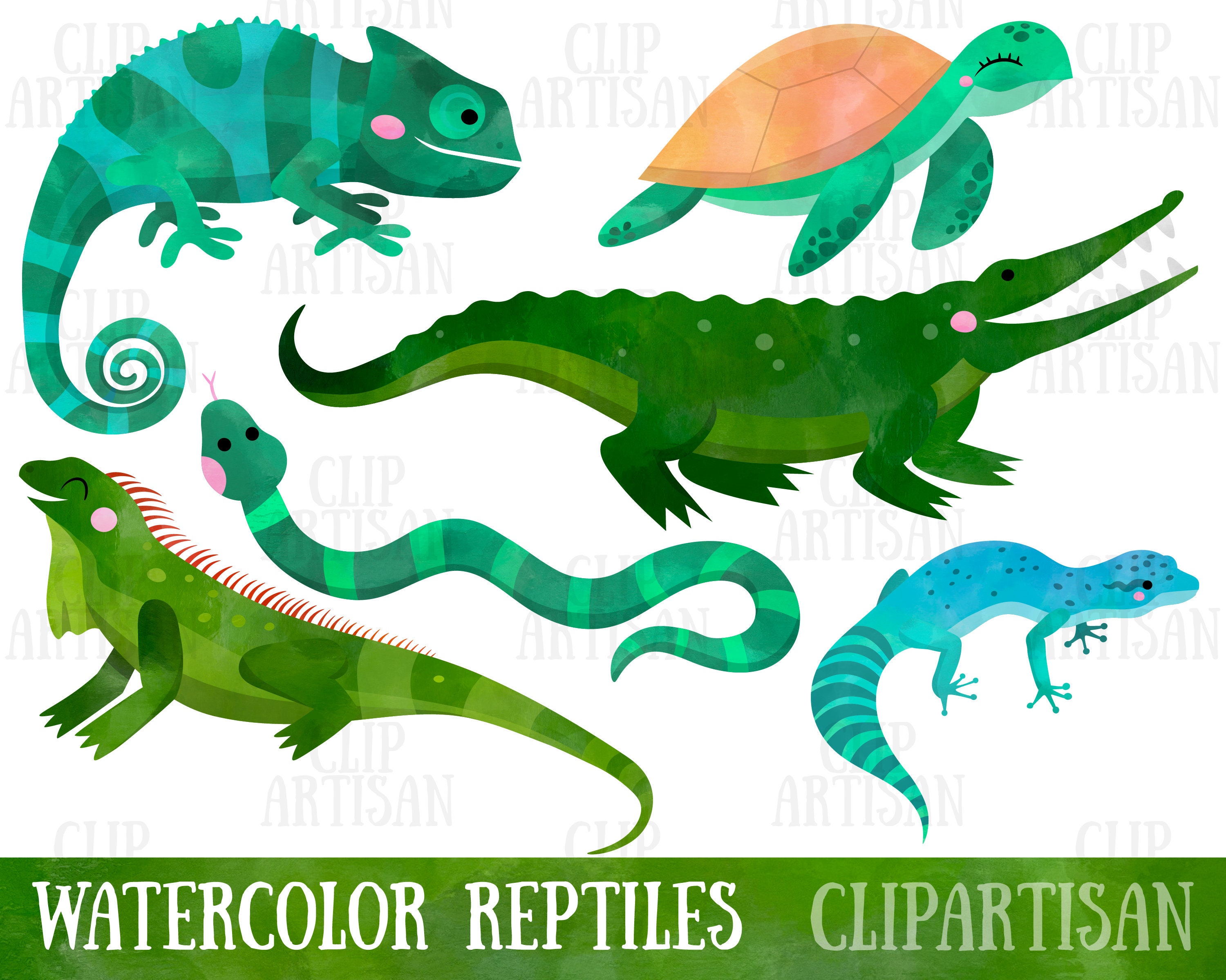 Green Lizard Clipart