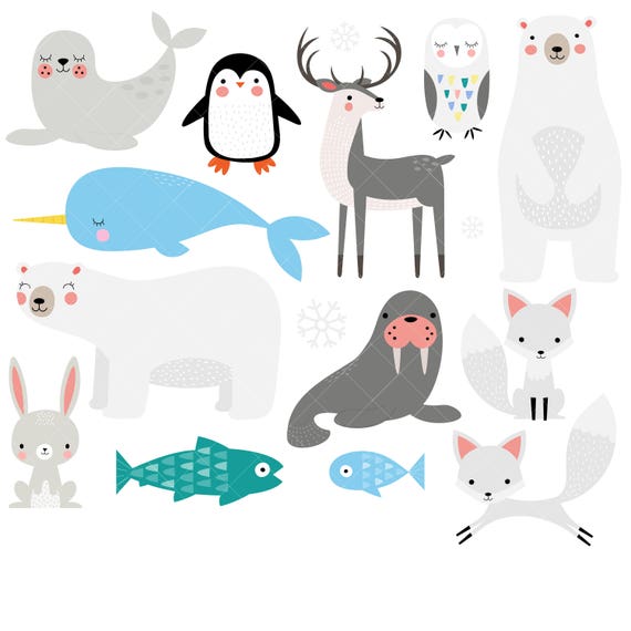 Who Am I Snowy Animals Clipart