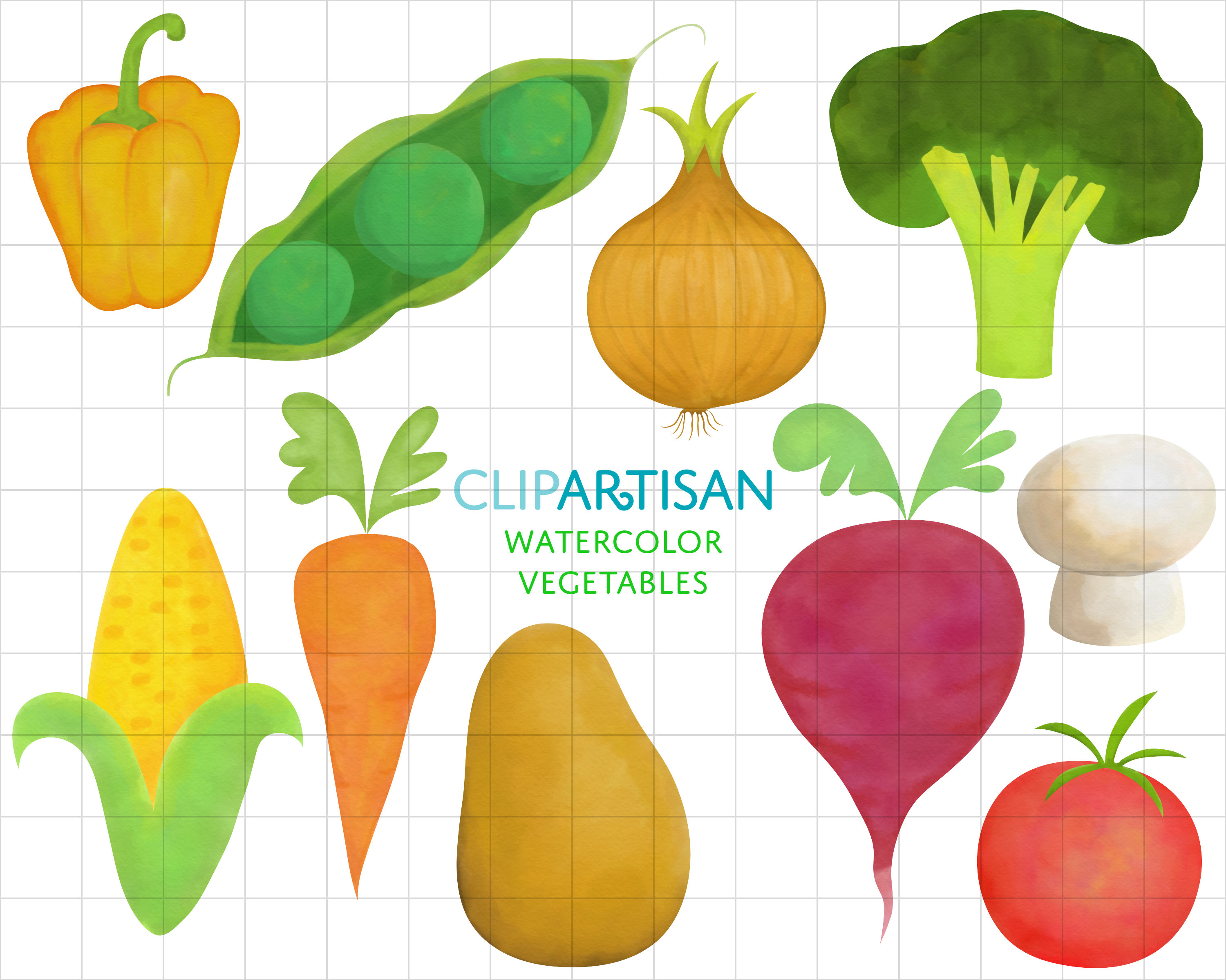 Waterolor Vegetables Clipart | Healthy Food Clip Art | Veggies - Etsy UK