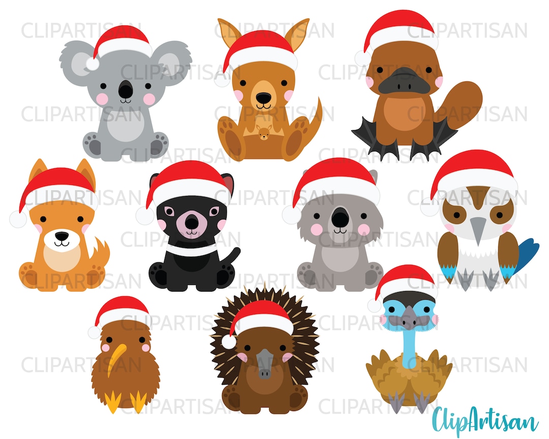 Australian Christmas Animals New Zealand Australasian Koala Kangaroo ...