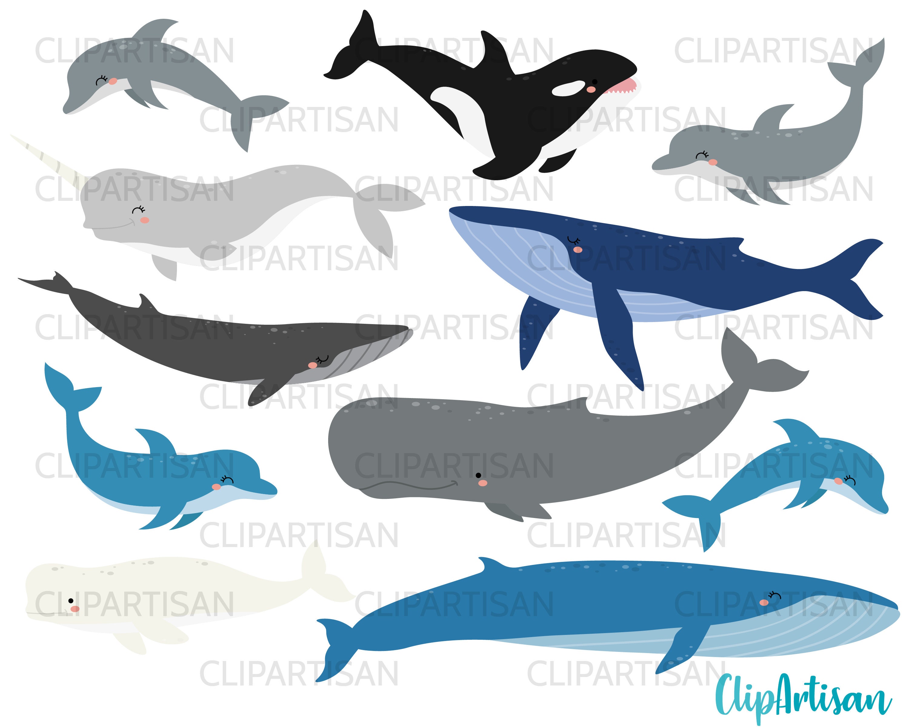 Whale Clip Art