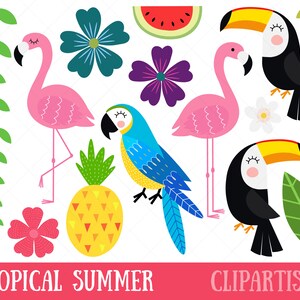 Tropical Clipart Tropical Birds Clip Art Tropical Summer | Etsy
