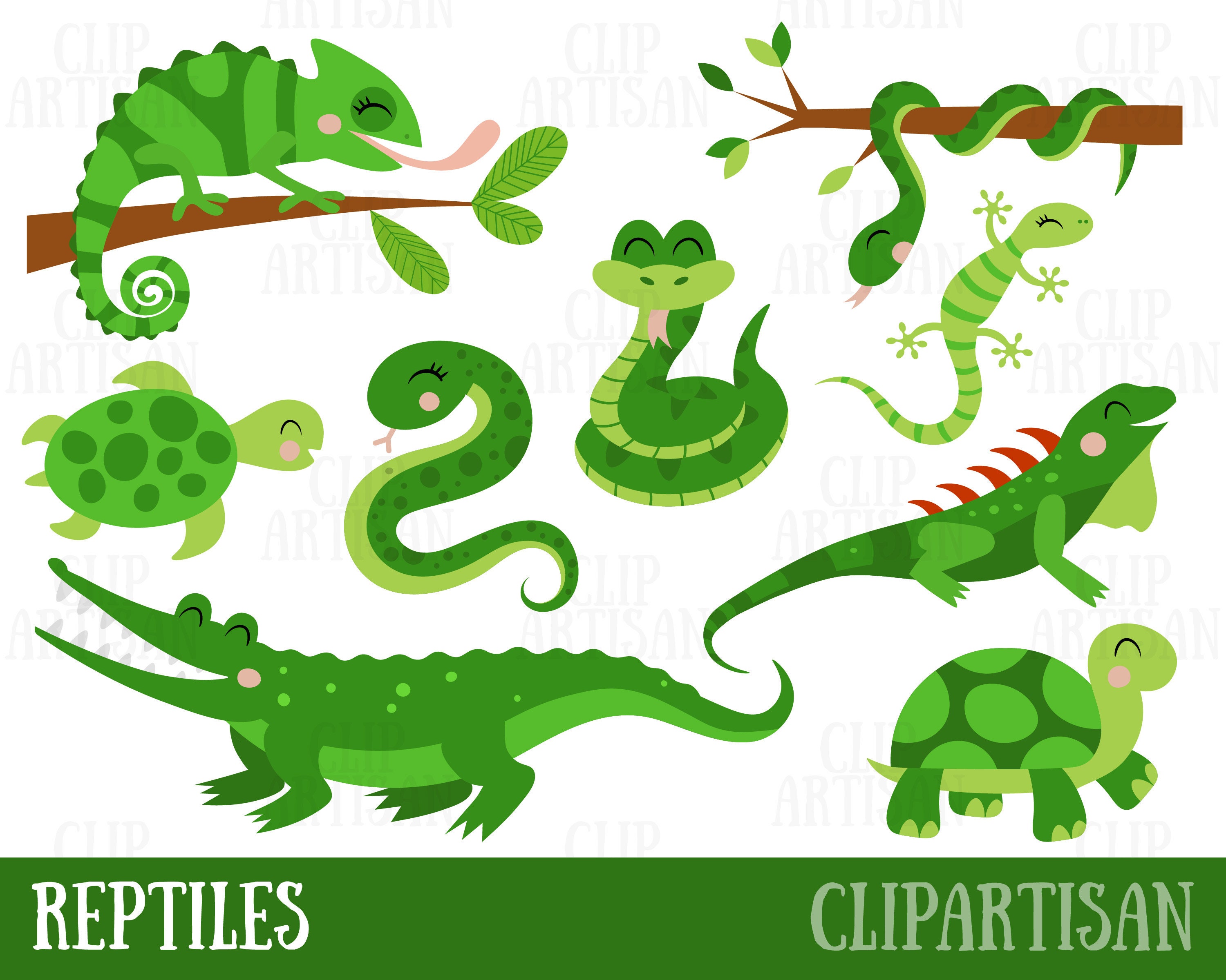 Reptiles Clipart Chameleon Crocodile Lizard Snake Turtle - Etsy