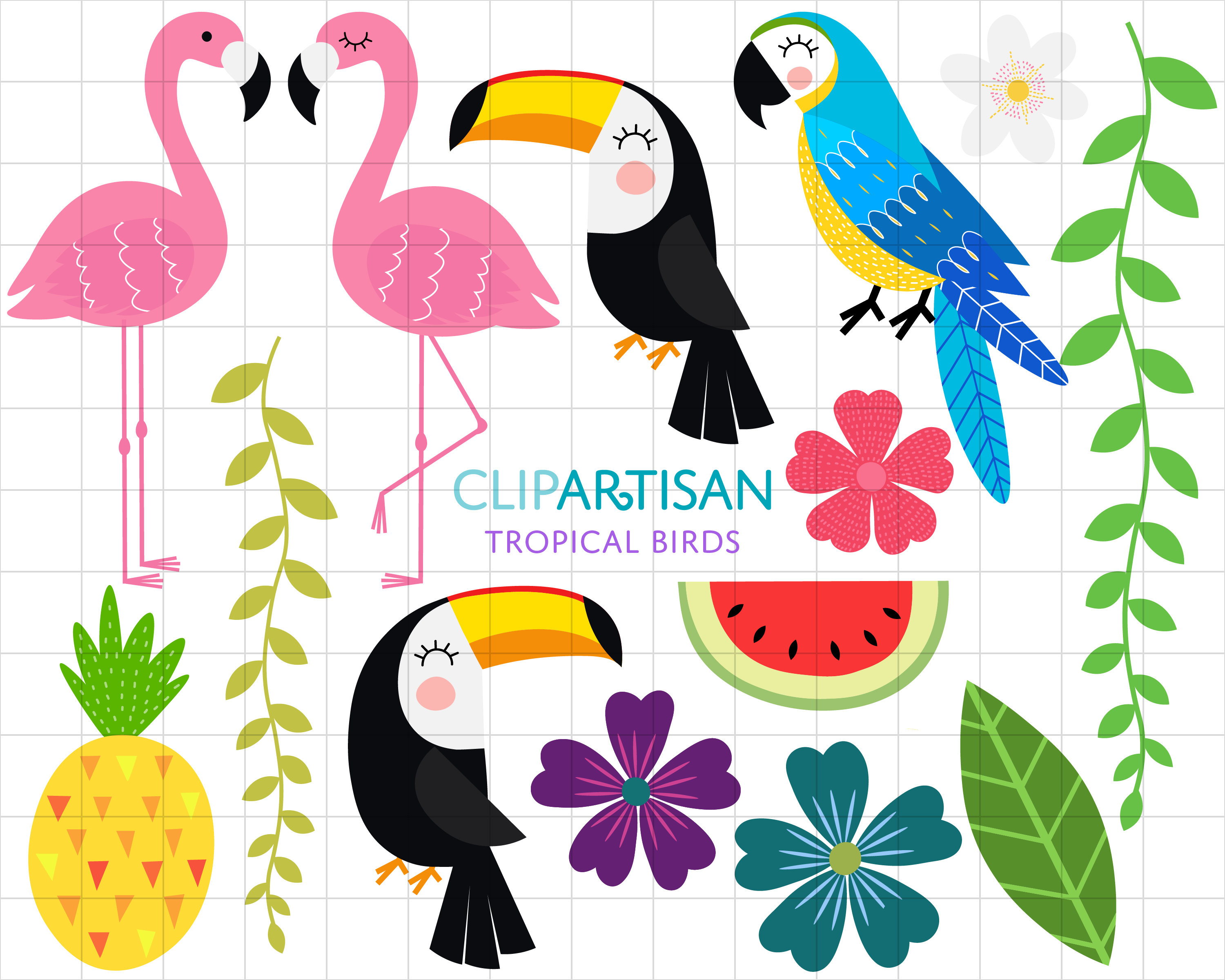 Tropical Birds Clipart Spring