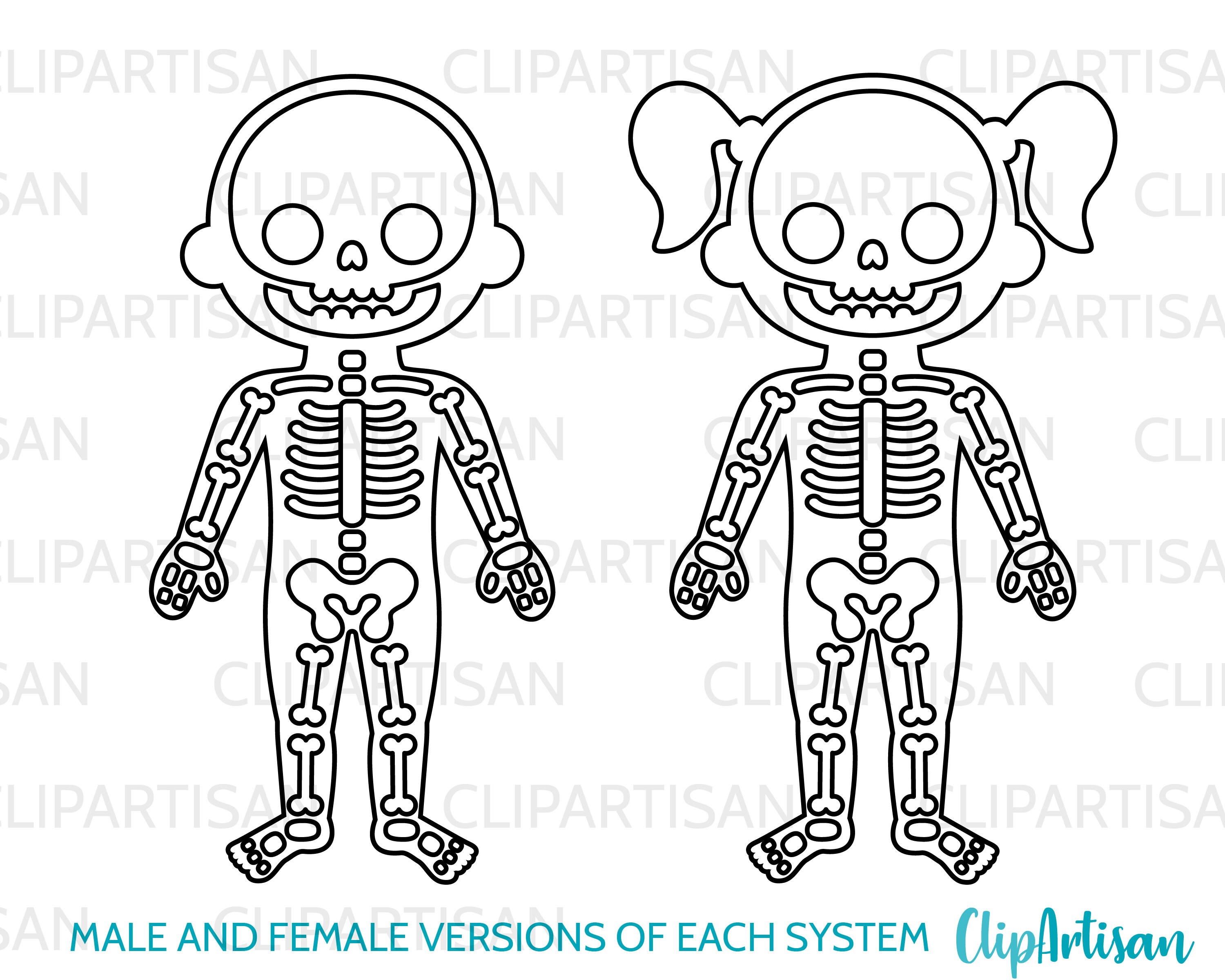 Human Body Systems Anatomy Clipart Digital Stamps Bundle PNG Instant ...