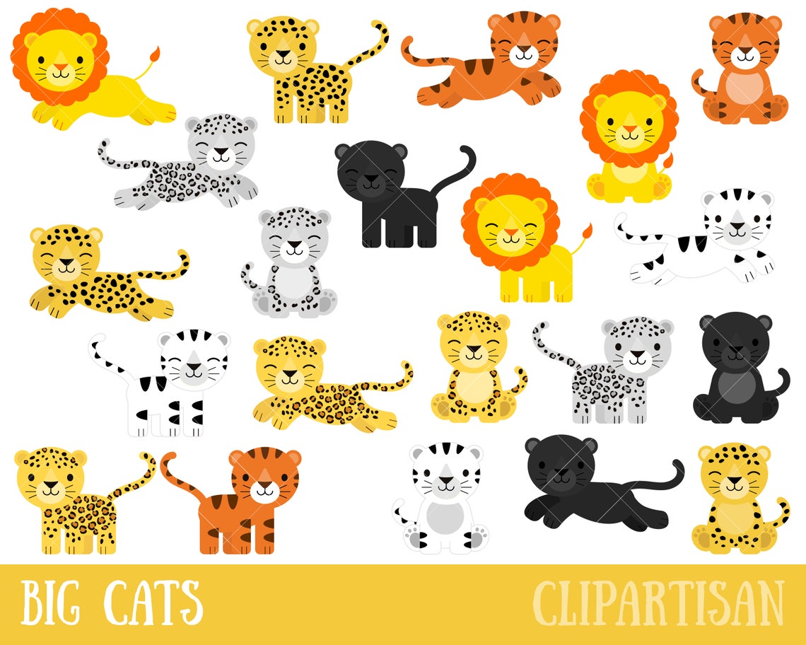 Big Cats Clipart / Lion / Tiger / Leopard / Snow Leopard / - Etsy