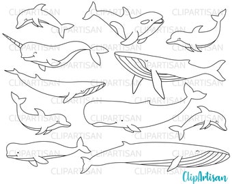 Whales Clipart Cute Dolphins Clip Art Under the Sea Blue - Etsy