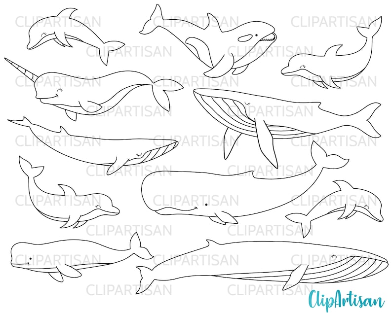 Whales Digital Stamps Cute Dolphins Clip Art Under the Sea - Etsy