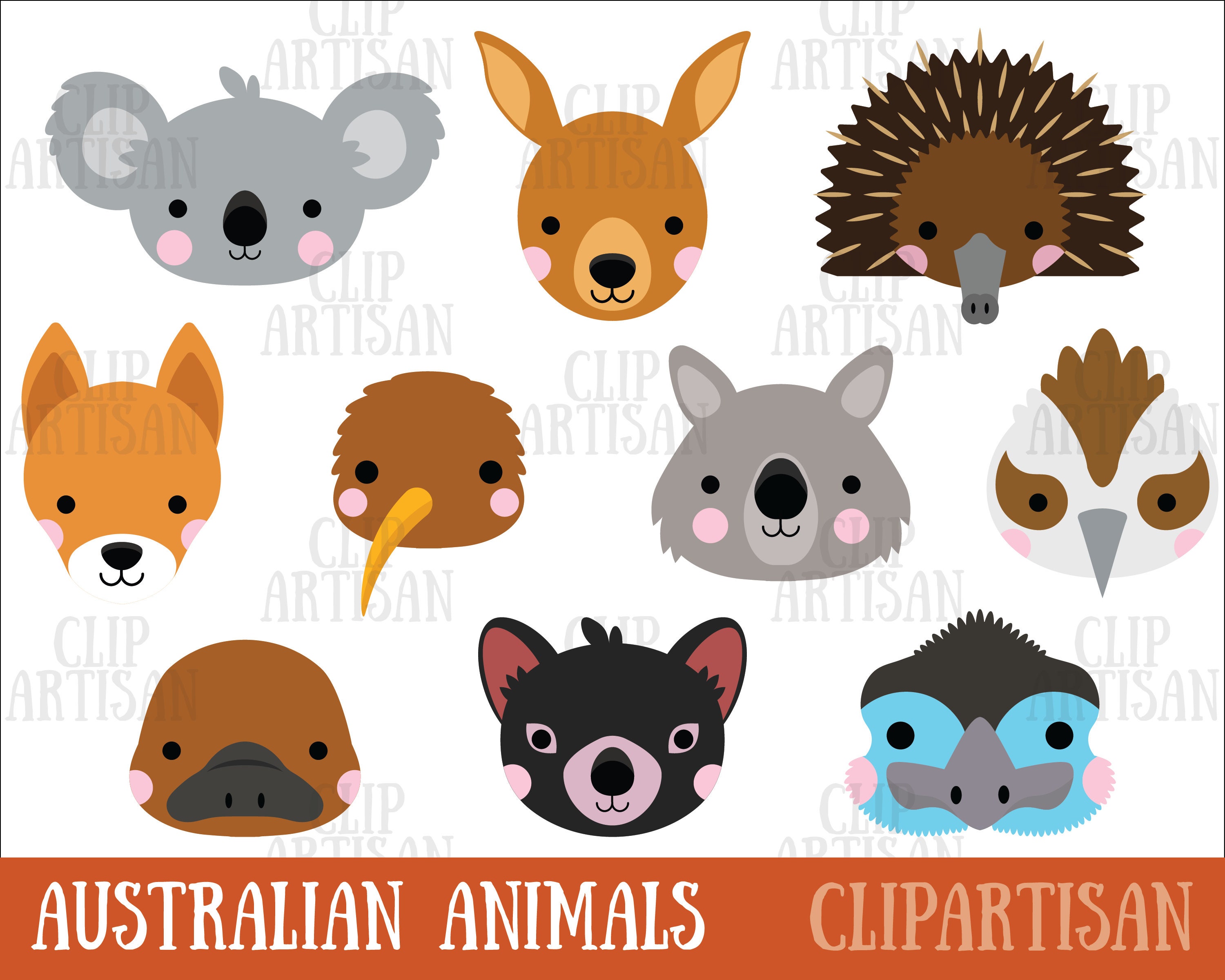 Difference Between Kangaroo And Koala Clipart