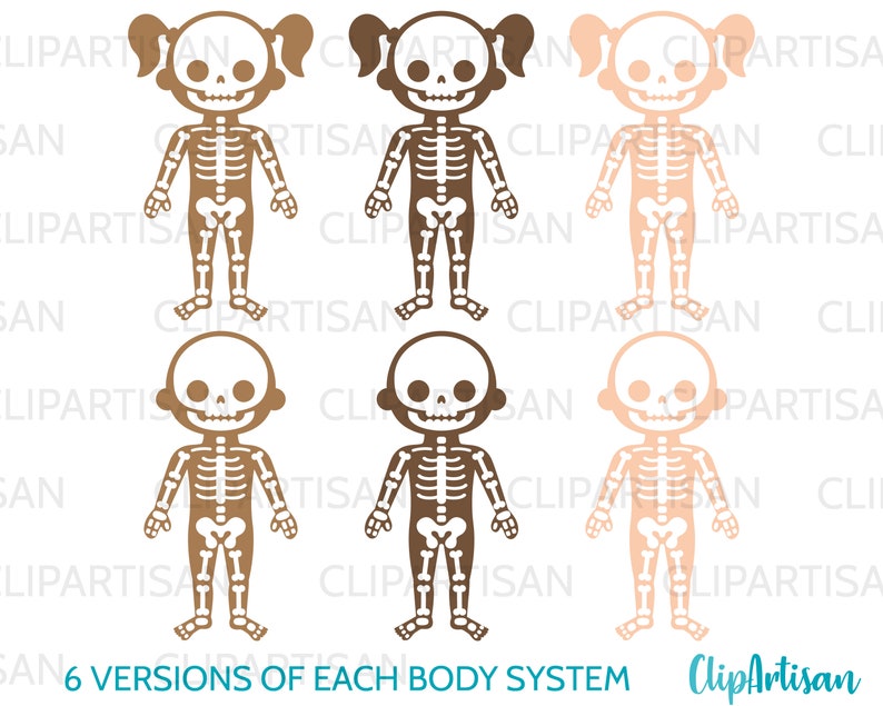 Human Body Systems Anatomy Clipart Bundle PNG Instant Download - Etsy UK