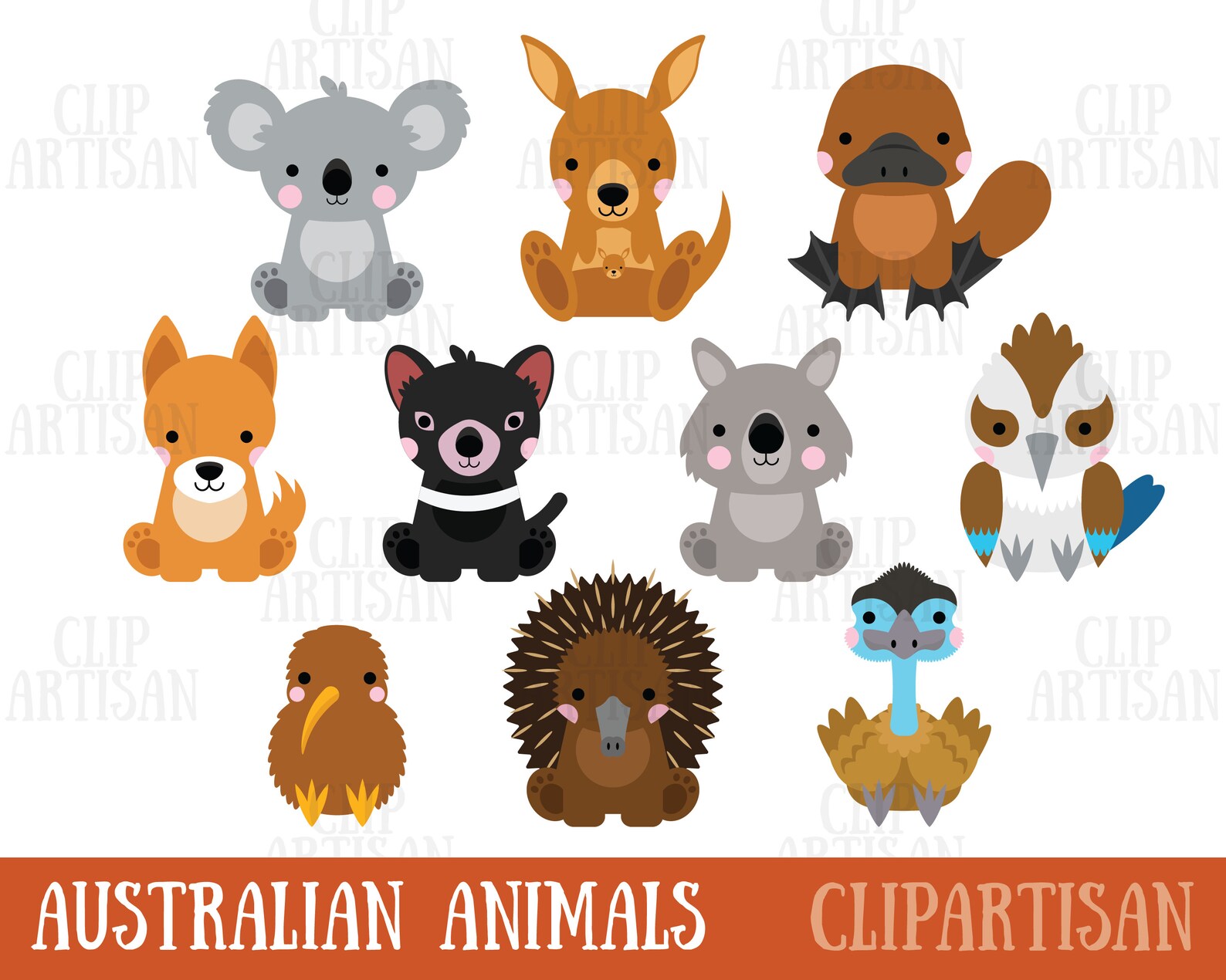 Australian Animals Clipart Koala Kangaroo Wombat Echidna | Etsy