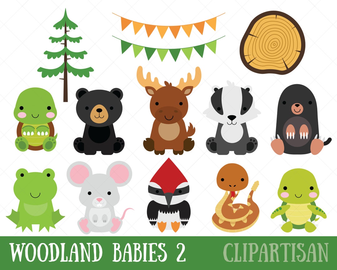 Woodland Baby Animals Clipart Set 2 | Forest Animal Clipart | Woodland ...