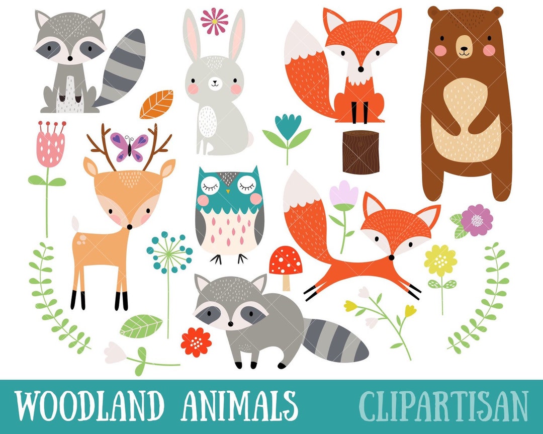 Woodland Animal Clipart | Fox | Bear | Raccoon | Deer | Owl | Nursery ...