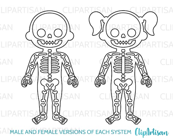 Human Body Systems Clipart Black And White