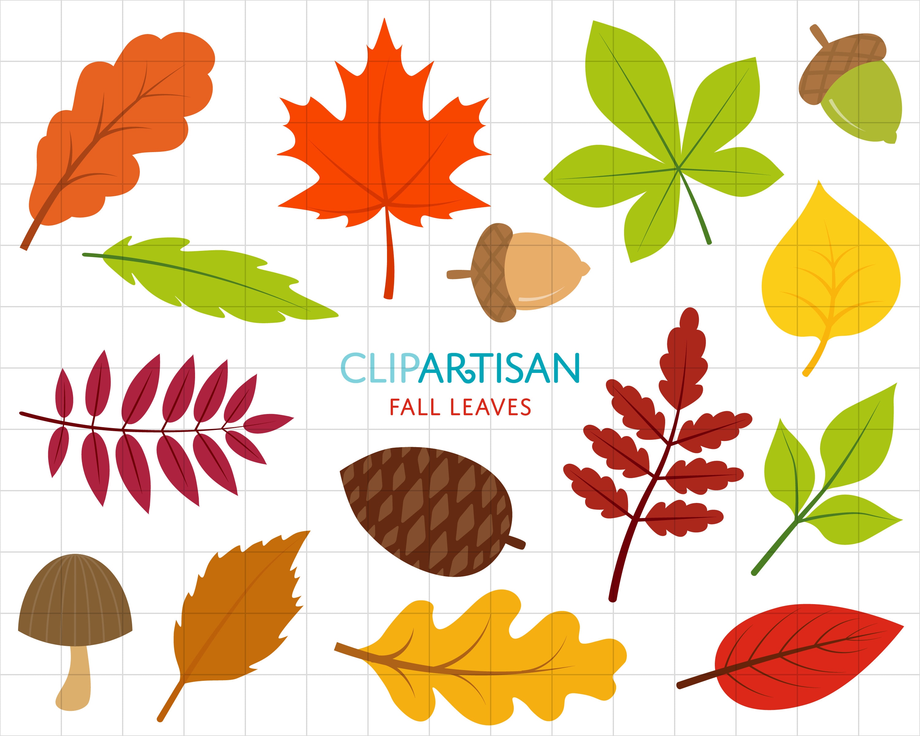 Watercolor Autumn Leaves Clipart Set Fall Leaf PNG On, 43% OFF