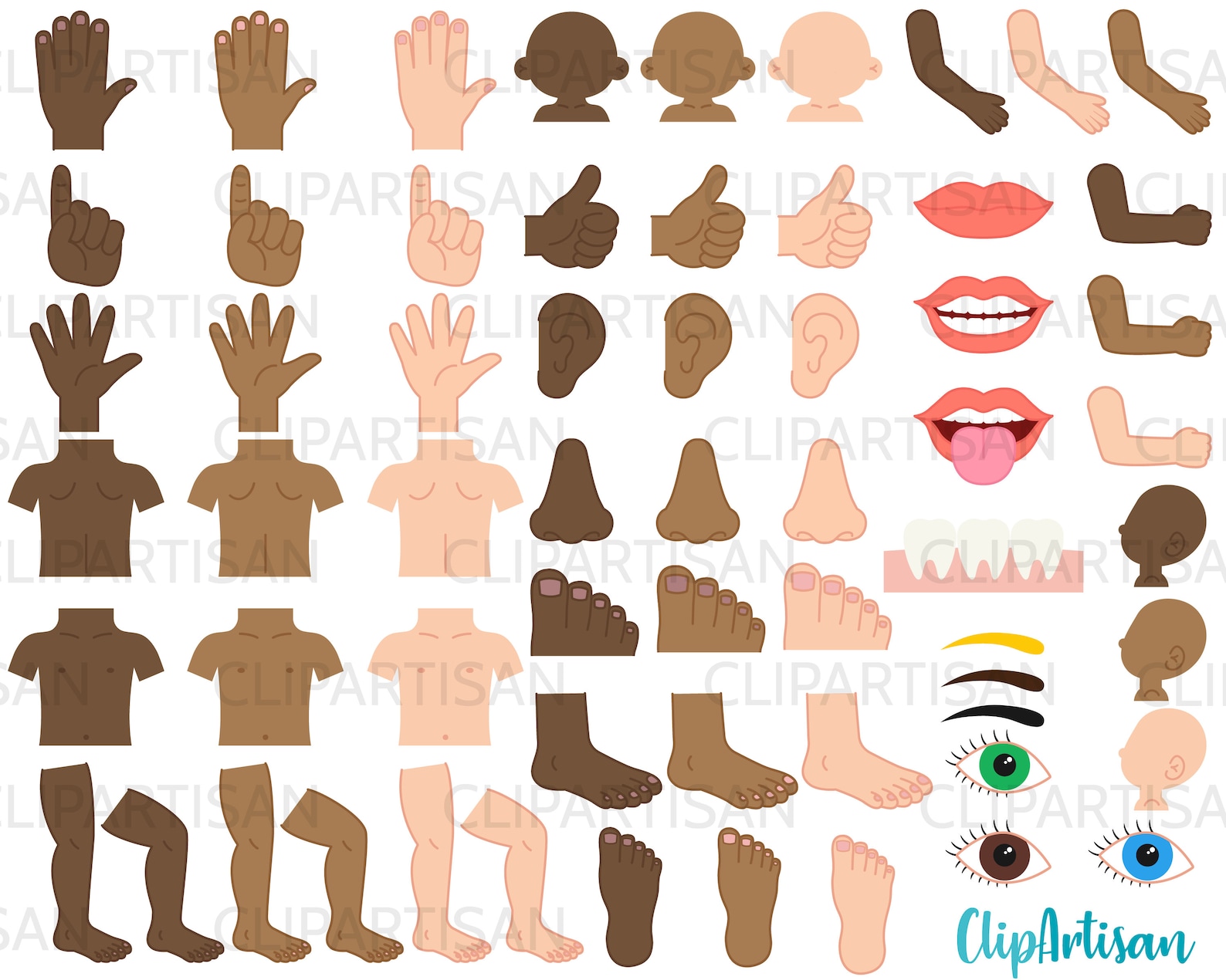 Body Parts Clipart Senses Anatomy Clip Art Human Body PNG - Etsy UK