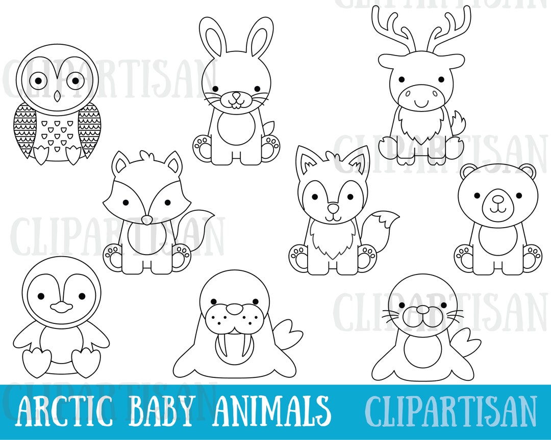 Arctic Baby Animals Digital Stamps / Polar Bear / Penguin - Etsy
