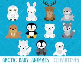 Arctic Animals Clipart Winter Animals Clip Art Polar Bear | Etsy