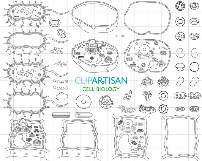 Cute Body Cells Clip Art Digital Download, Biology Clip Art , Kawaii ...