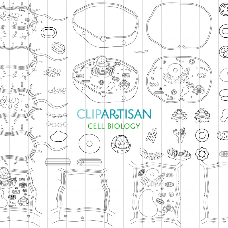 ClipArtisan - Etsy