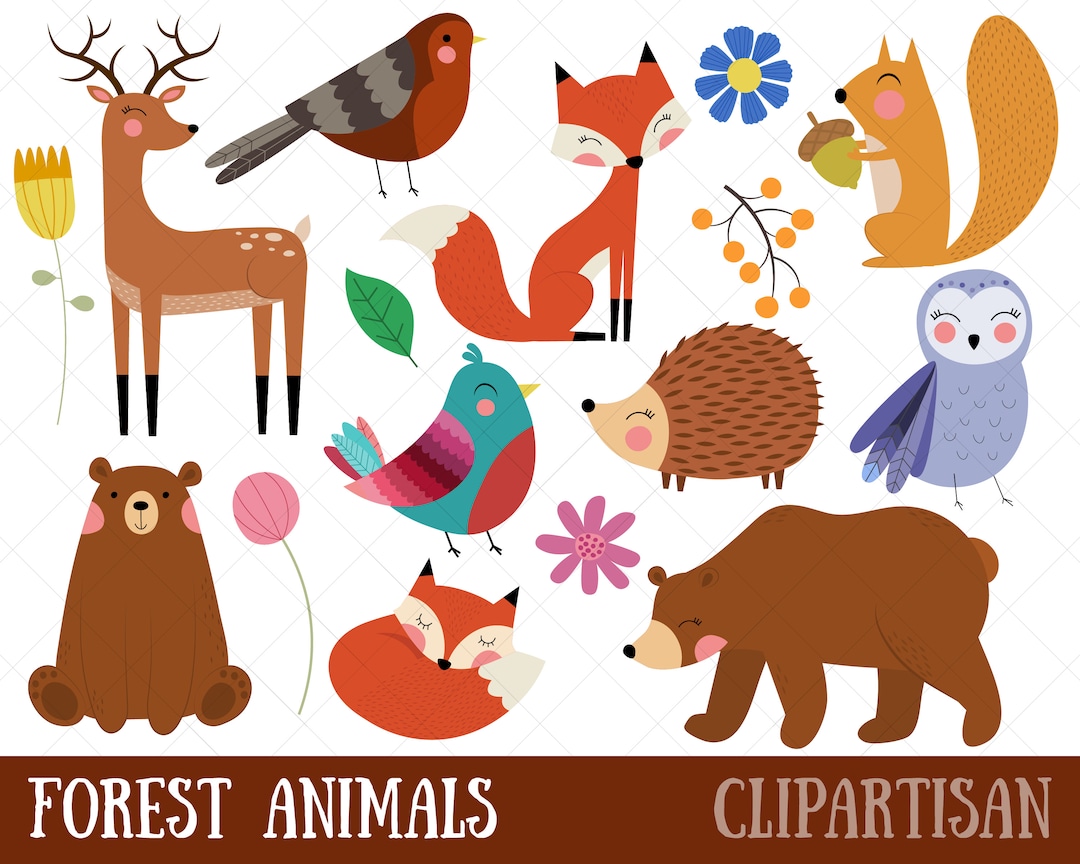 Woodland Animals / Forest Clipart / Fox / Bear / Deer / Owl / Hedgehog ...