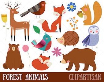 Woodland Animal Clipart Fox Bear Raccoon Deer Owl