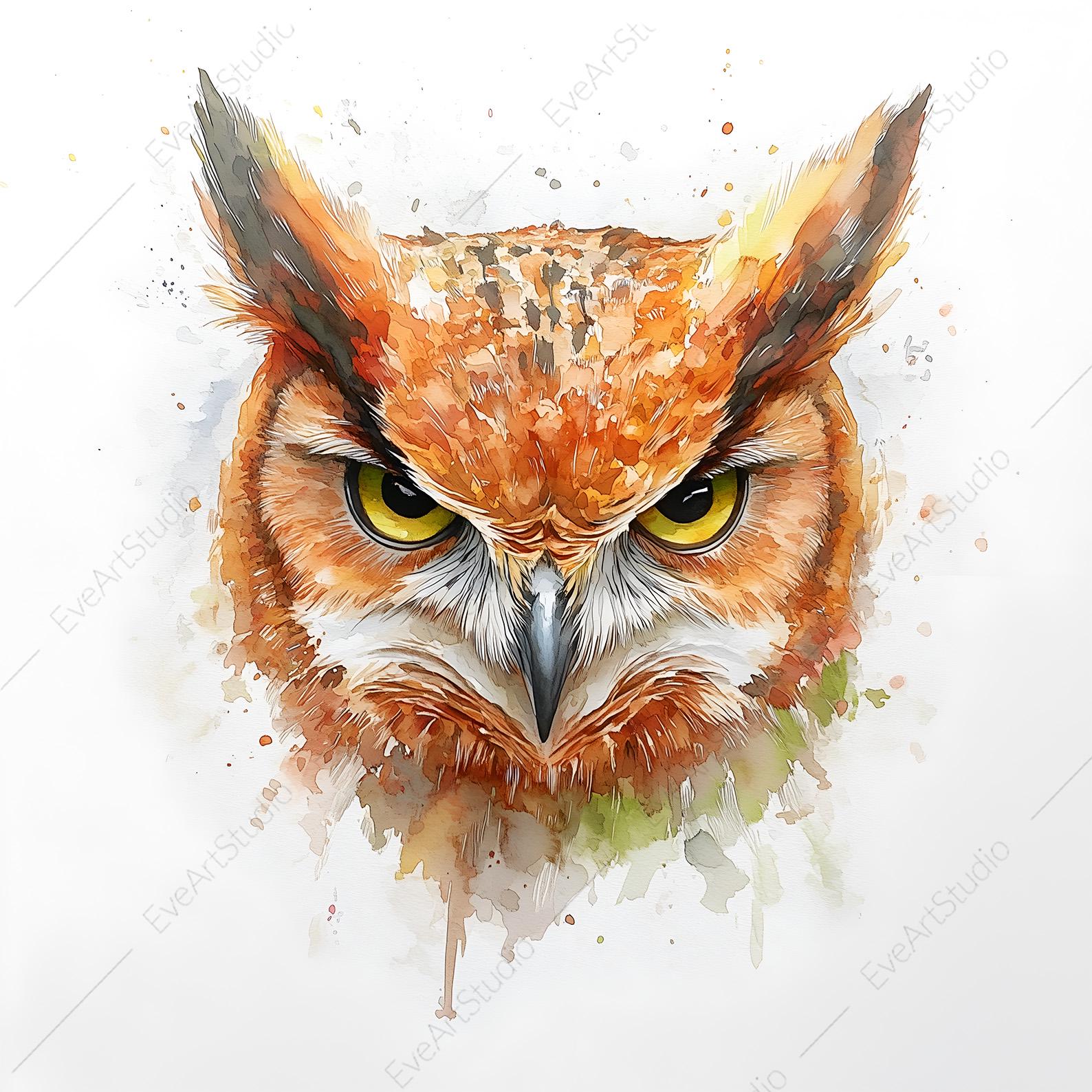 10 Owl Cliparts, Owl Bird Watercolor Clipart, Printable Watercolor ...